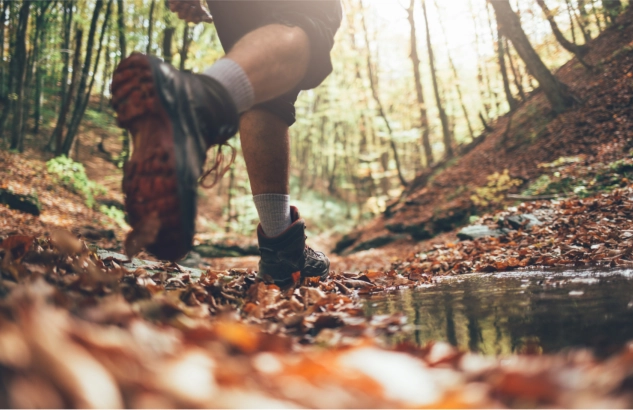 10 magnifiques randos tous niveaux à découvrir absolument | Intersport