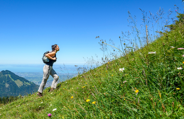 Focus sur les notions de dénivelé positif et négatif | INTERSPORT