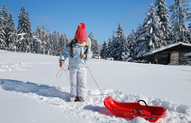 Comment choisir sa luge de neige ? | INTERSPORT