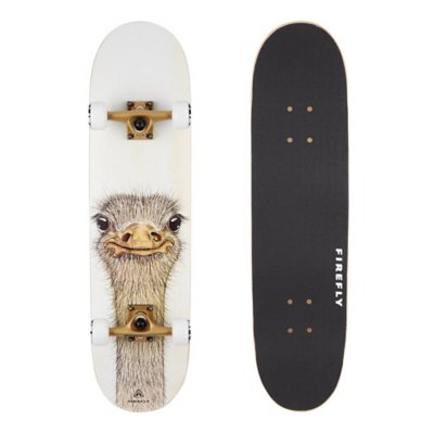 Skateboard : tous les skates | INTERSPORT